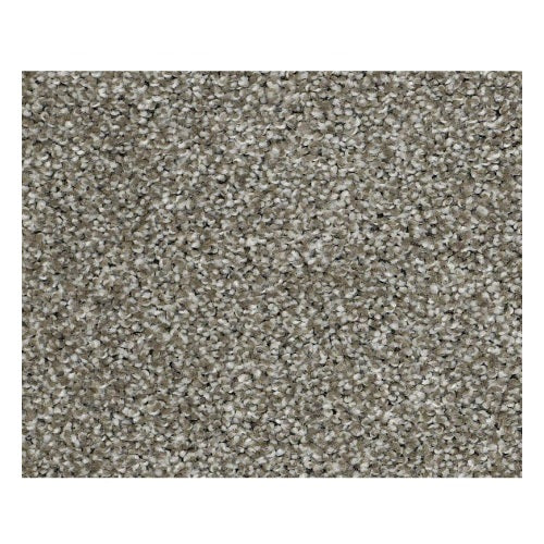 Shaw Striking 00513 Pewter Textured Nylon Carpet | Lowest Price — Stone ...