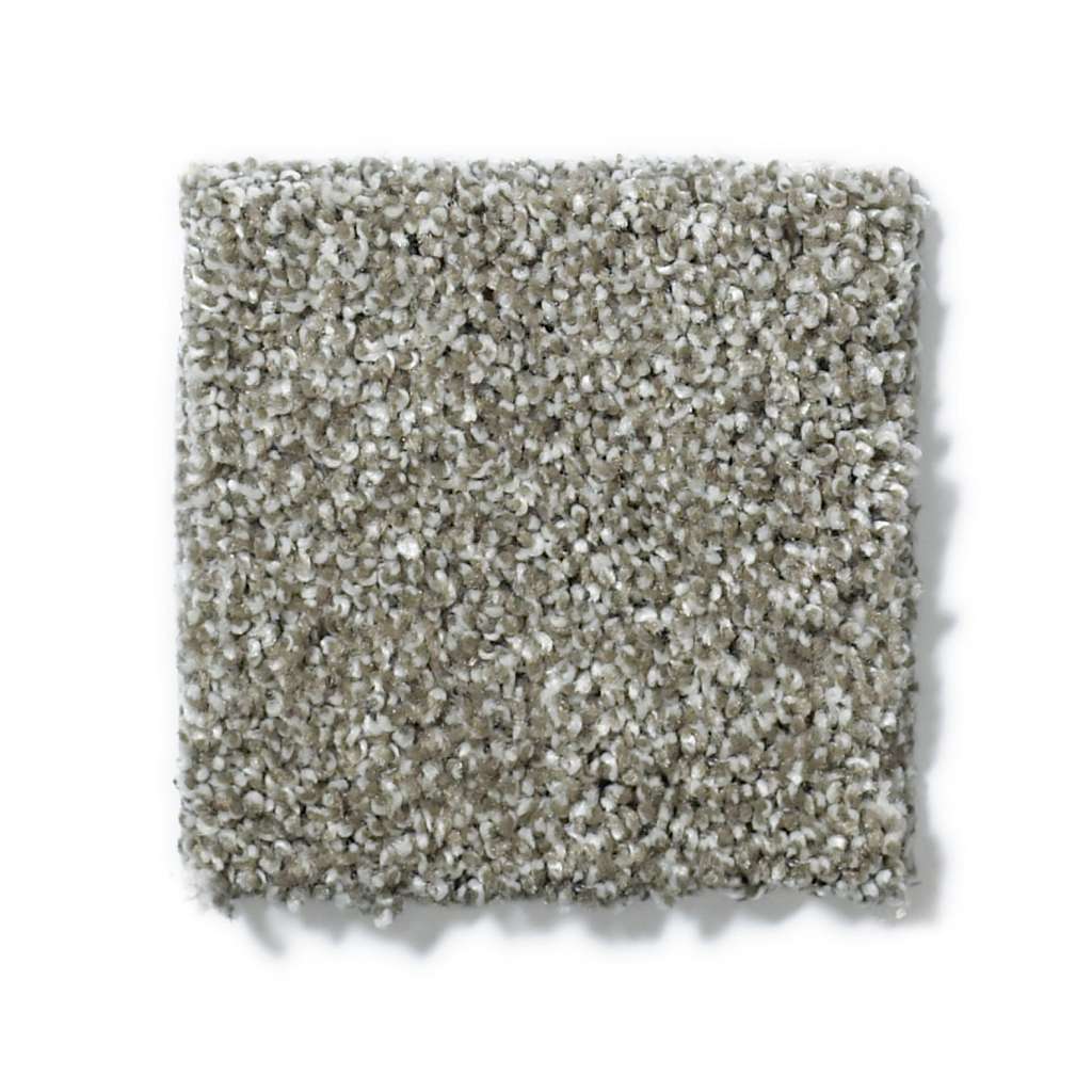 Shaw Picturesque 00513 Pewter Textured Nylon Carpet | Lowest Price ...