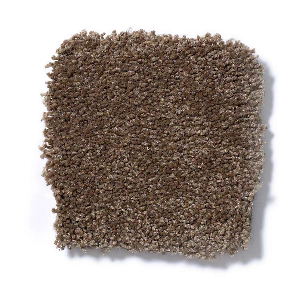 Shaw Couture' Collection Ultimate Expression 15' 00703 Pine Cone Carpet ...