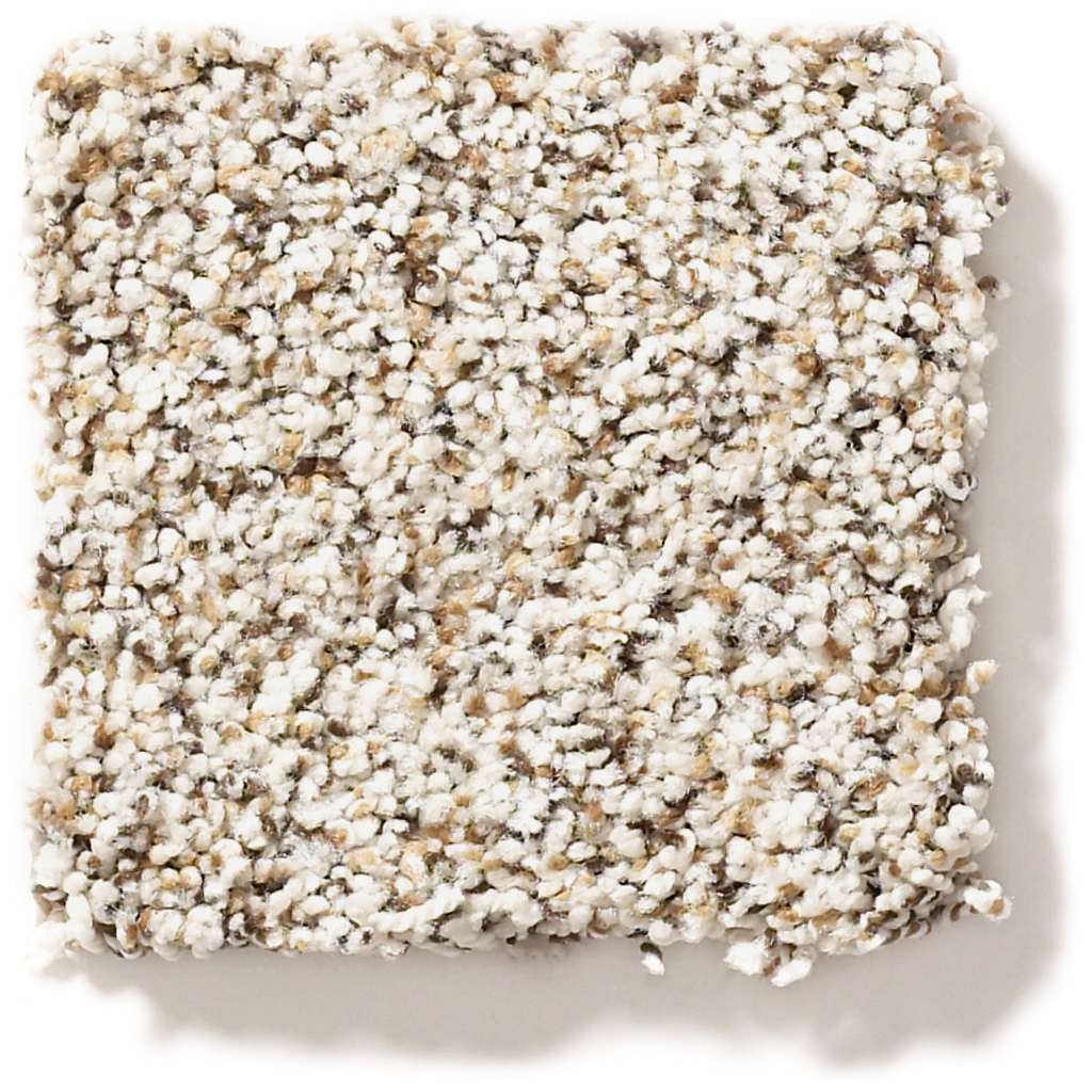 Shaw Foundations Elemental Mix II 00170 Pixels Textured Nylon Carpet ...