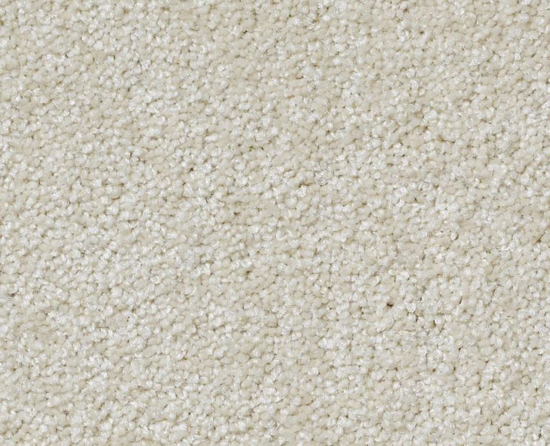 Shaw Great Choice 00103 Plaster Textured Nylon Carpet | Lowest Price ...