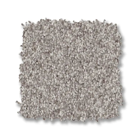 Anderson Tuftex Classics Terra Nova 00552 Platinum Nylon Carpet — Stone ...