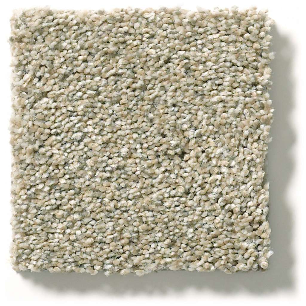 Shaw Simply The Best Momentum II 140A Plaza Textured Polyester Carpet ...