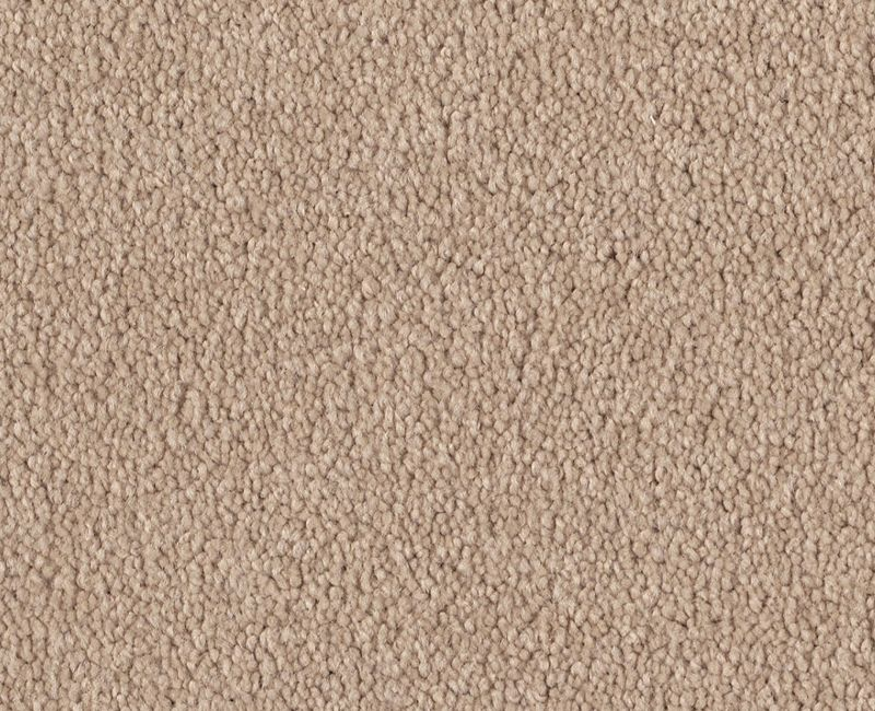 Shaw Before Dawn (S) 00116 Popcorn Textured Nylon Carpet — Stone & Tile ...