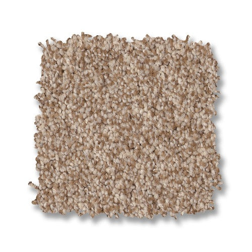 Anderson Tuftex Classics Terra Nova 00623 Potter's Clay Nylon Carpet ...