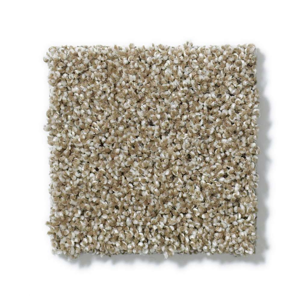 Shaw Picturesque 00710 Prairie Textured Nylon Carpet | Lowest Price ...
