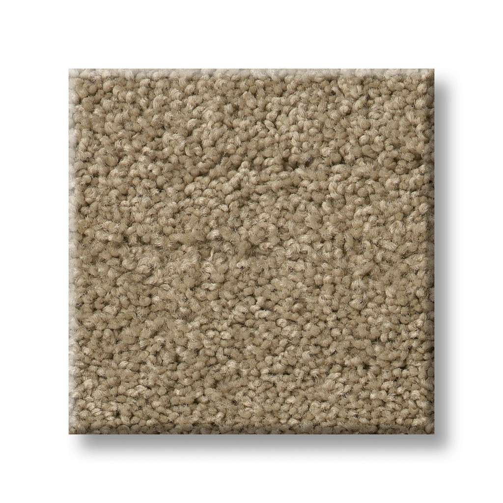 Shaw Origins 00710 Prairie Textured Nylon Carpet | Lowest Price — Stone ...
