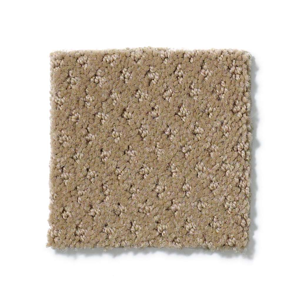 Shaw Genesis 00710 Prairie Pattern Nylon Carpet | Lowest Price — Stone ...