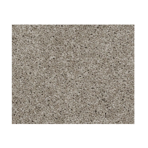 Shaw Butterfly Kisses 1 00162 Prairie Dust Textured Nylon Carpet ...