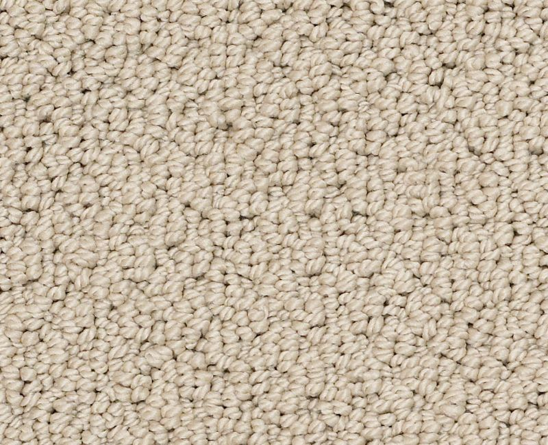 Shaw La Corra 00115 Putty Loop Nylon Carpet | Lowest Price — Stone ...