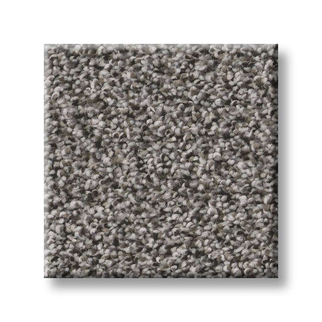 Shaw Simply the Best Values Truspirit I 00509 Quarry Polyester Carpet ...