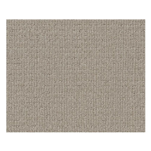 Shaw SC Beach 00175 Quiet Moment Pattern Nylon Carpet | Lowest Price ...