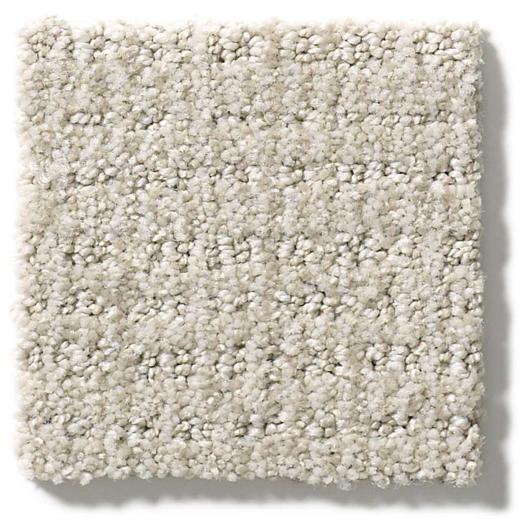 Shaw Foundations Sensible Now 00175 Quiet Moment Pattern Nylon Carpet ...