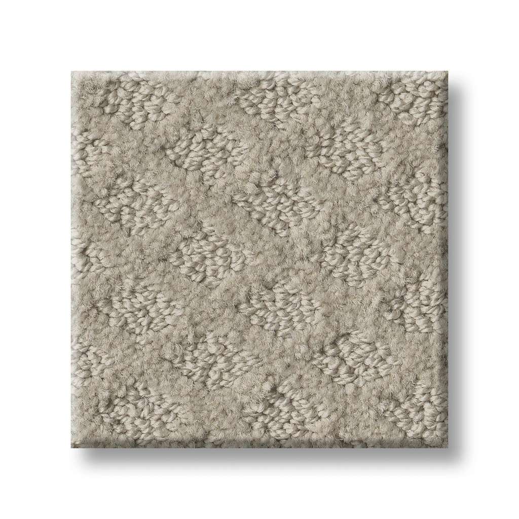 Shaw Foundations Entwined With You 00175 Quiet Moment Nylon Carpet ...