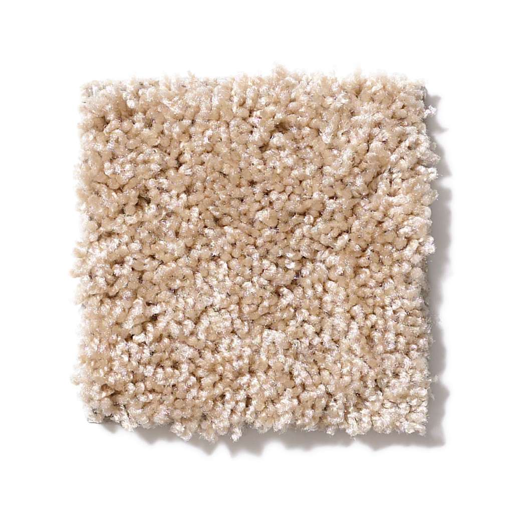Shaw Dreamin' 12' 00121 Quiet Splendor Textured Nylon Carpet — Stone ...