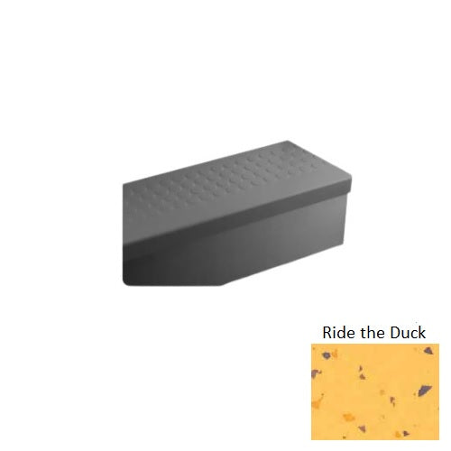 Tarkett Johnsonite Ride the Duck Angle Fit Speckled Stair Tread without ...