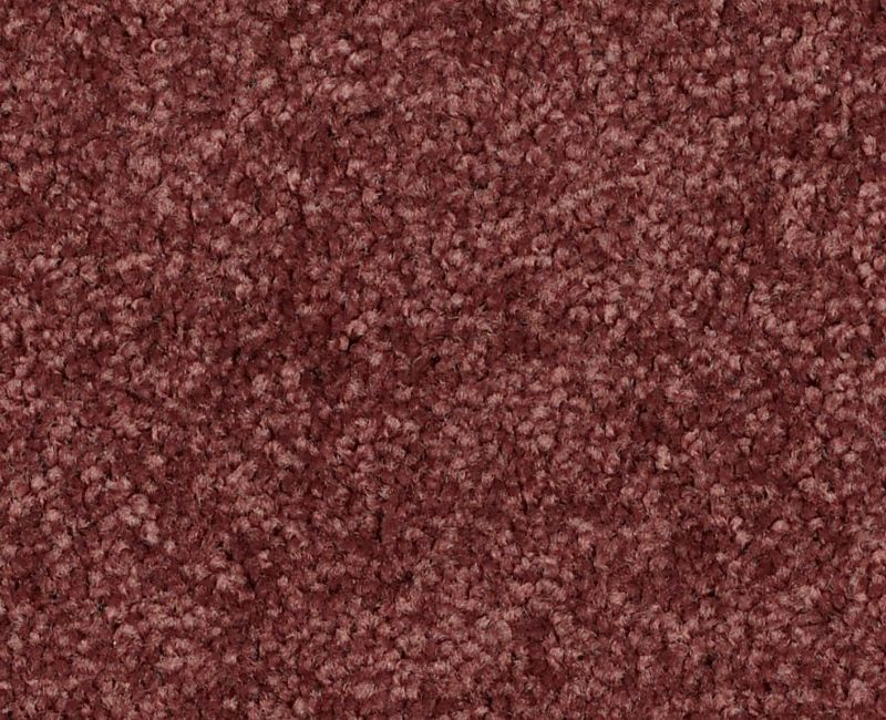 Shaw Nantucket Summer 15' 00931 Radiant Orchid Polyester Carpet — Stone ...