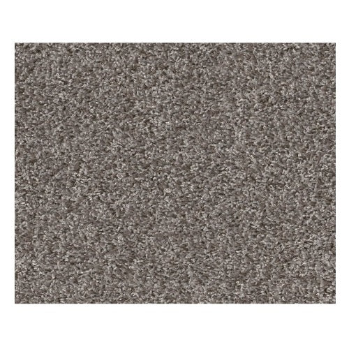 Shaw Spirited 00501 Rainstorm Twist Polyester Carpet | Lowest Price ...