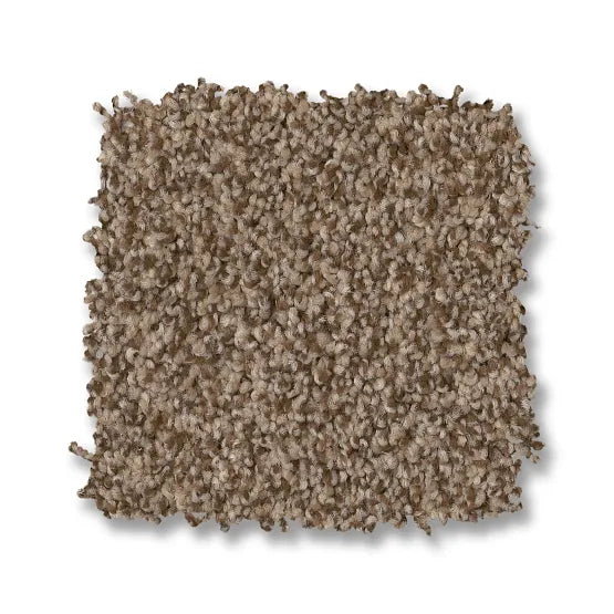 Anderson Tuftex Bossa Nova 00765 Ranch Nylon Carpet — Stone & Tile ...
