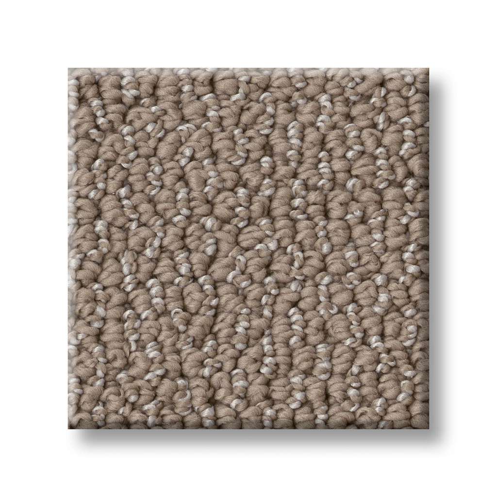 Shaw Simply The Best Embellished 00710 Raw Wood Loop Polyester Carpet ...