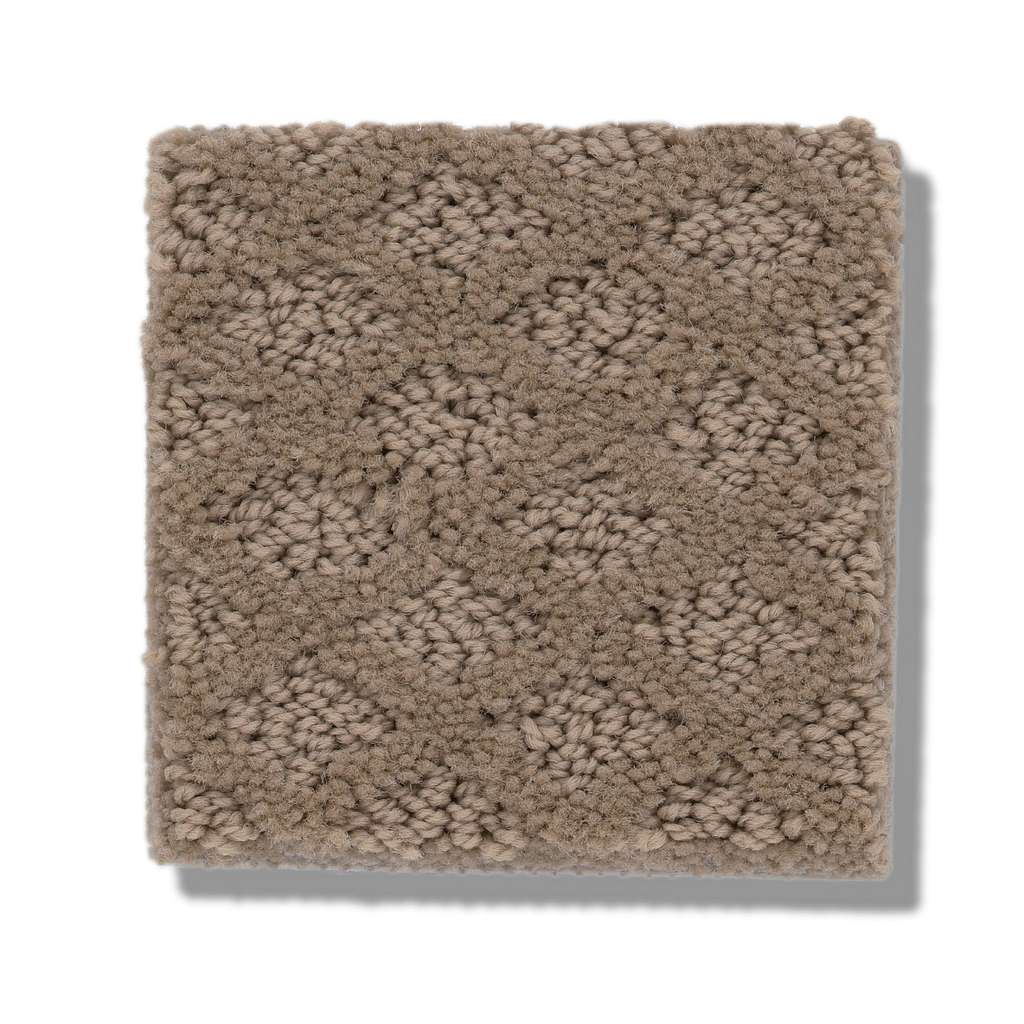 Shaw Formalize 00720 Raw Wood Pattern Nylon Carpet | Lowest Price ...