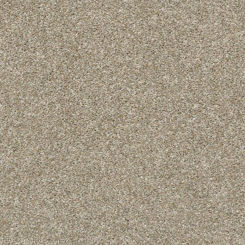 Shaw Frappe I 00110 Raw Wood Textured Polyester Carpet | Lowest Price ...