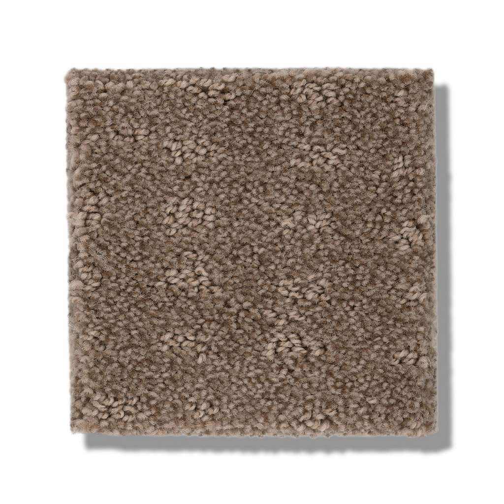 Shaw Foundations Chic Nuance 00720 Raw Wood Pattern Nylon Carpet ...