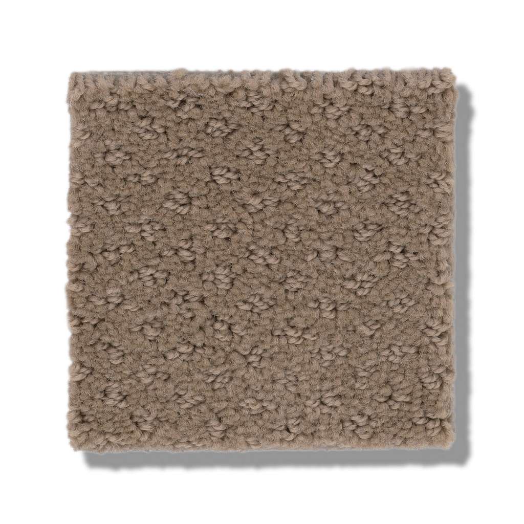 Shaw Foundations Mainstay 00720 Raw Wood Pattern Nylon Carpet — Stone ...