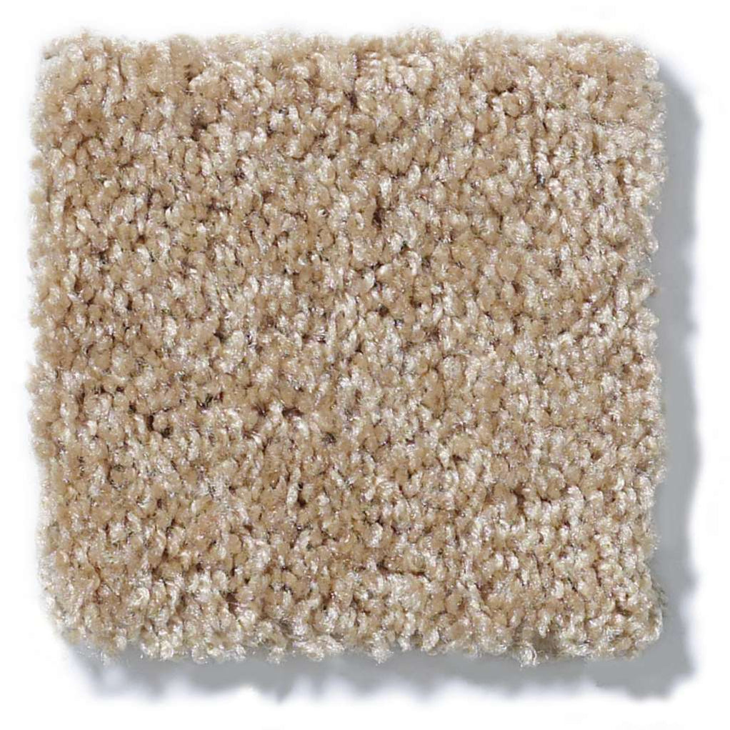 Shaw Parlay 00201 Reed Textured Nylon Carpet | Lowest Price — Stone ...
