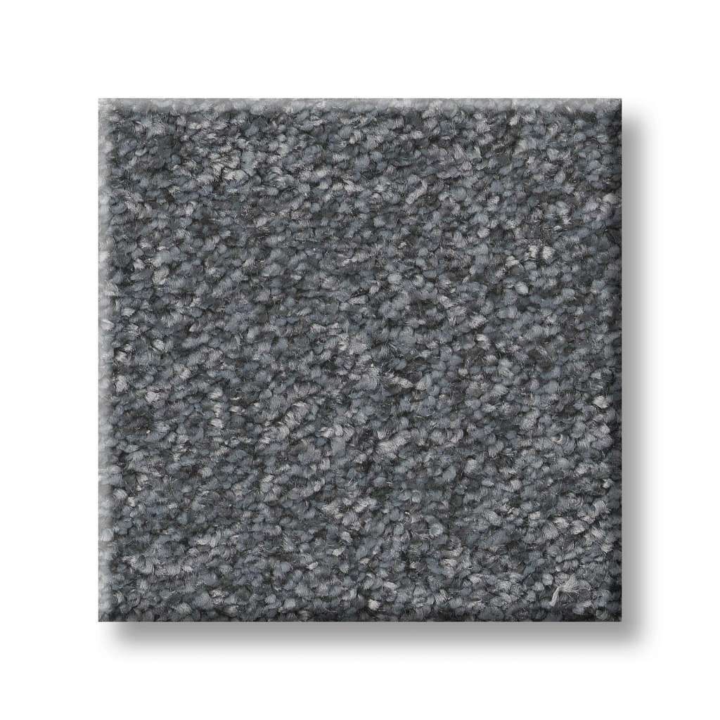 Shaw Pet Perfect You Got This I 00454 Reflection Polyester Carpet ...