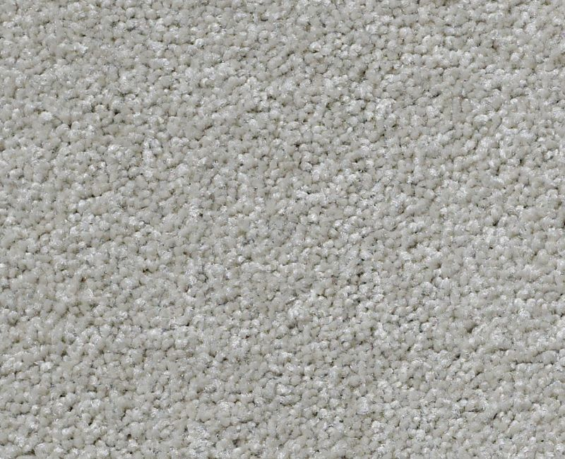 Shaw Great Choice 00116 Reflection Textured Nylon Carpet — Stone & Tile ...