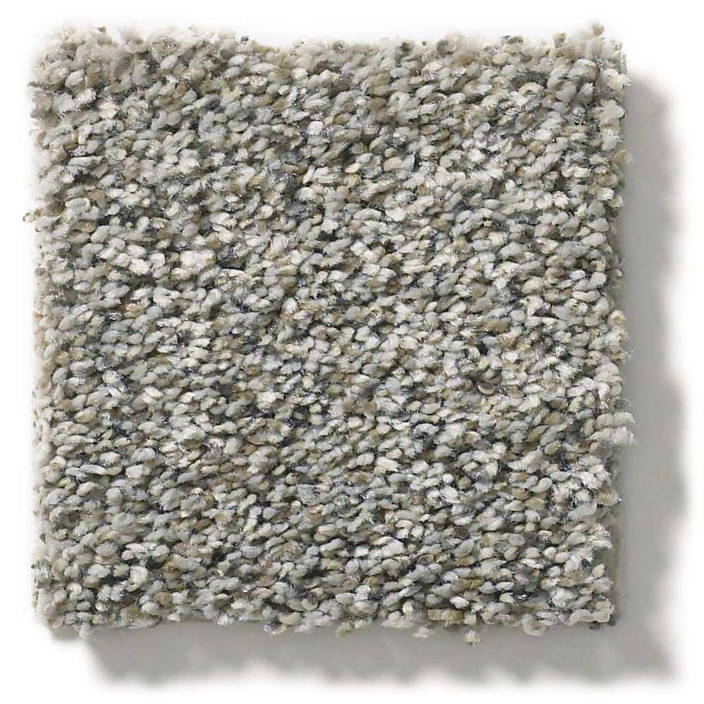 Shaw Simply The Best All Set I 00501 Rhino Textured Polyester Carpet ...