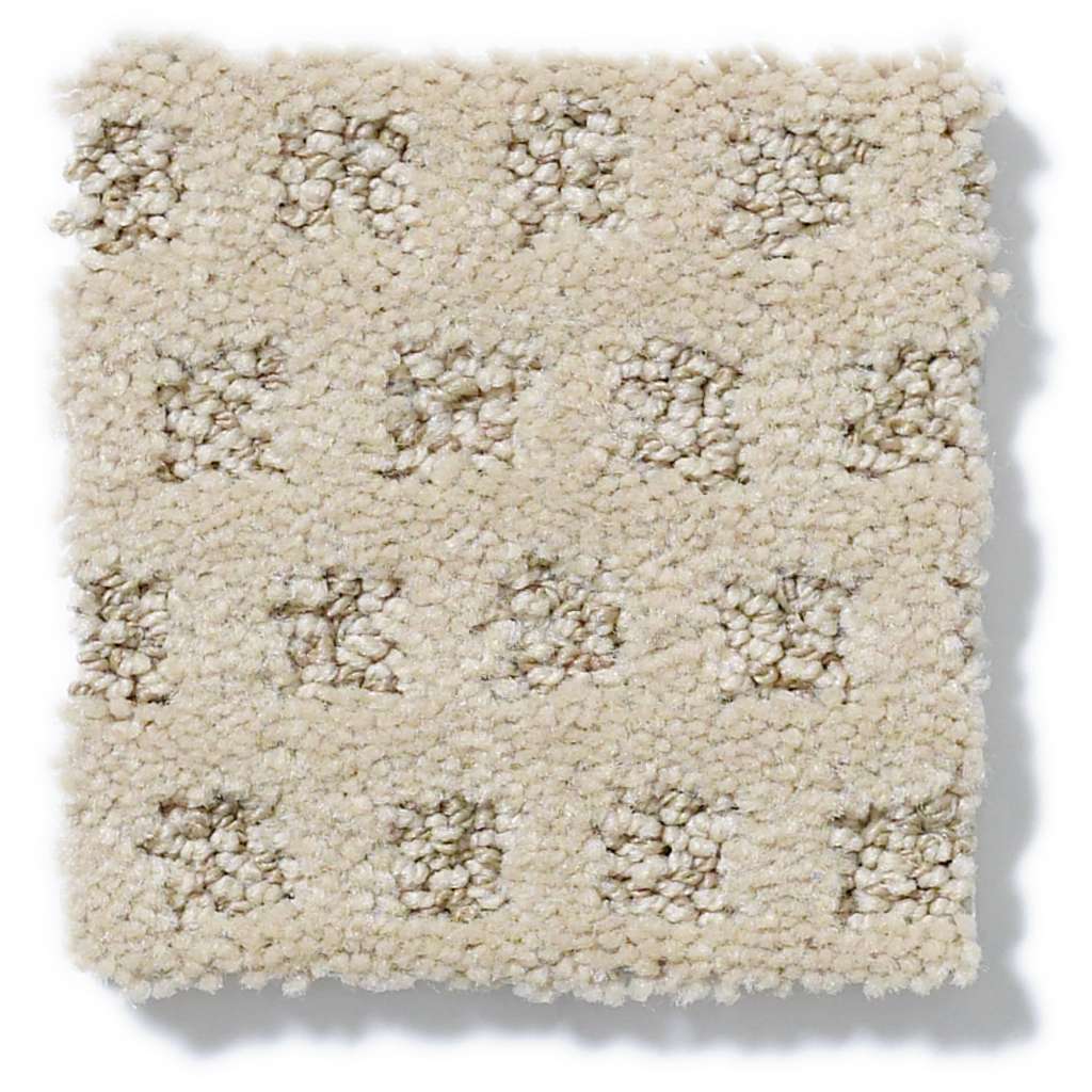 Shaw Caress By Shaw The Arts 00109 Ridgeway Walk Pattern Nylon Carpet ...