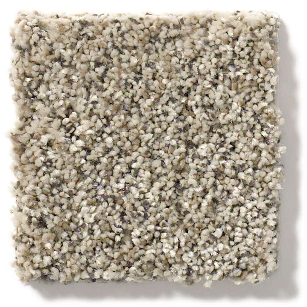 Shaw Simply The Best All Set II 00701 River Rock Polyester Carpet ...