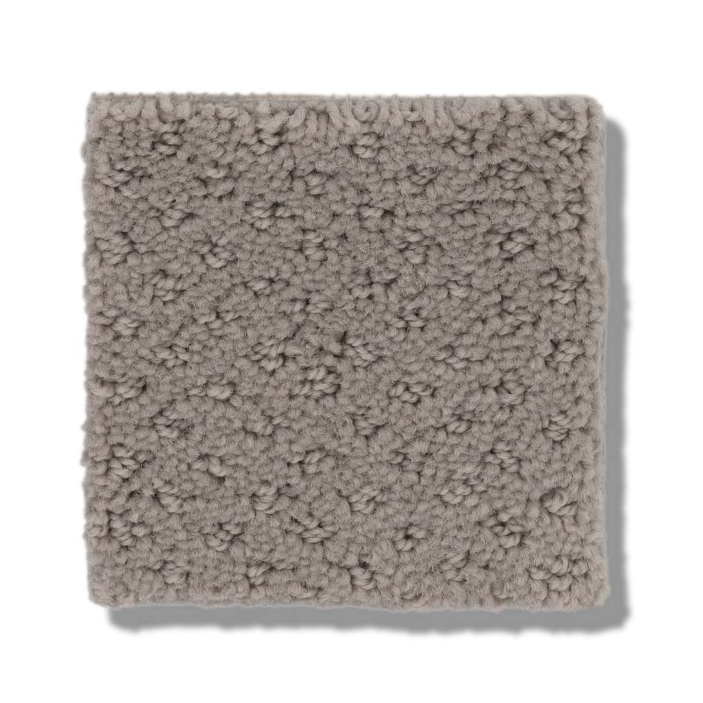 Shaw Foundations Mainstay 00700 River Run Pattern Nylon Carpet — Stone ...