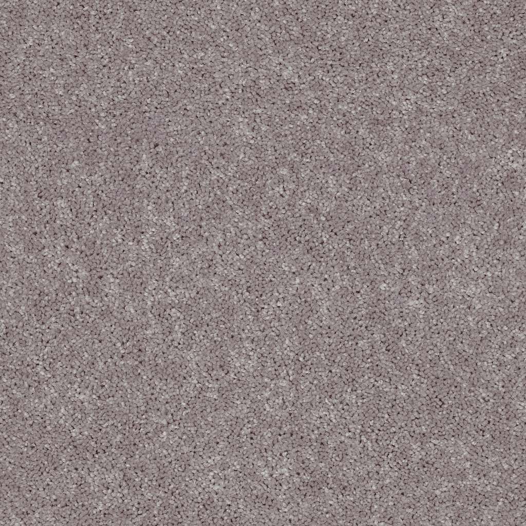Shaw All Star Weekend II 12' 00720 River Slate Polyester Carpet — Stone ...