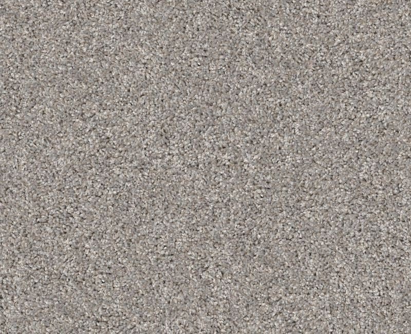 Shaw Yes You Can Ada 1 15 00508 Rock Crystal Textured Polyester Carpet ...