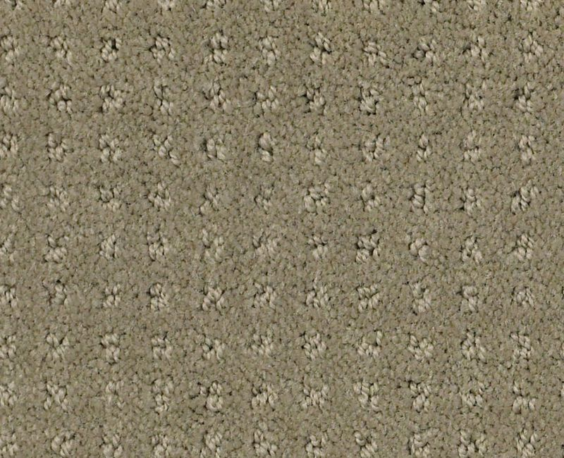 Shaw My Style Pattern 00750 Rocky Coast Pattern Nylon Carpet — Stone ...