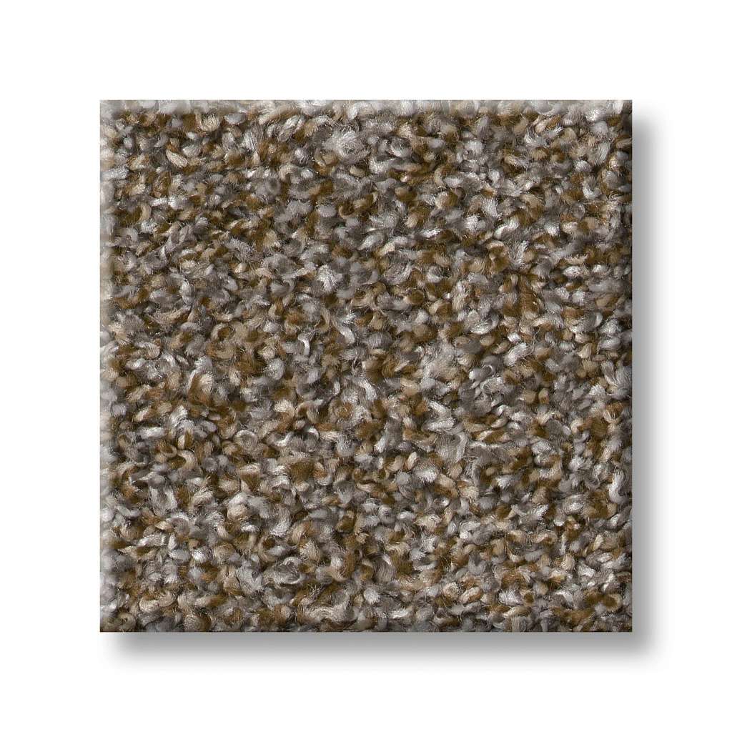 Shaw Shake It Up (A) 00701 Rocky Trail Textured Polyester Carpet ...