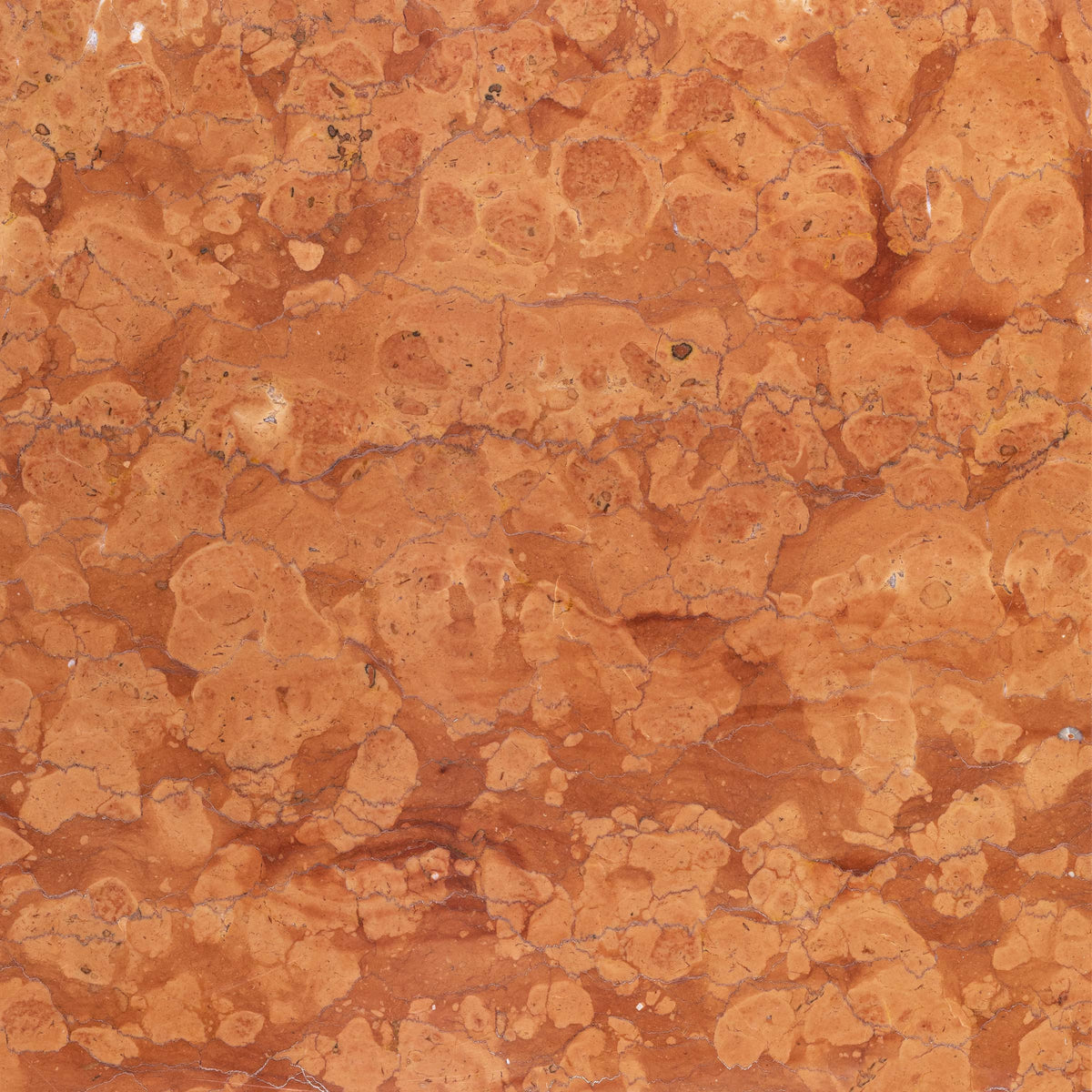 Full Tile Sample - Rosa Verona Marble Tile - 12" x 12" x 3/8" Polished ...