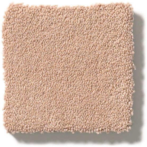 Anderson Tuftex Perfect Choice 00654 Rose Cider Textured Nylon Carpet ...