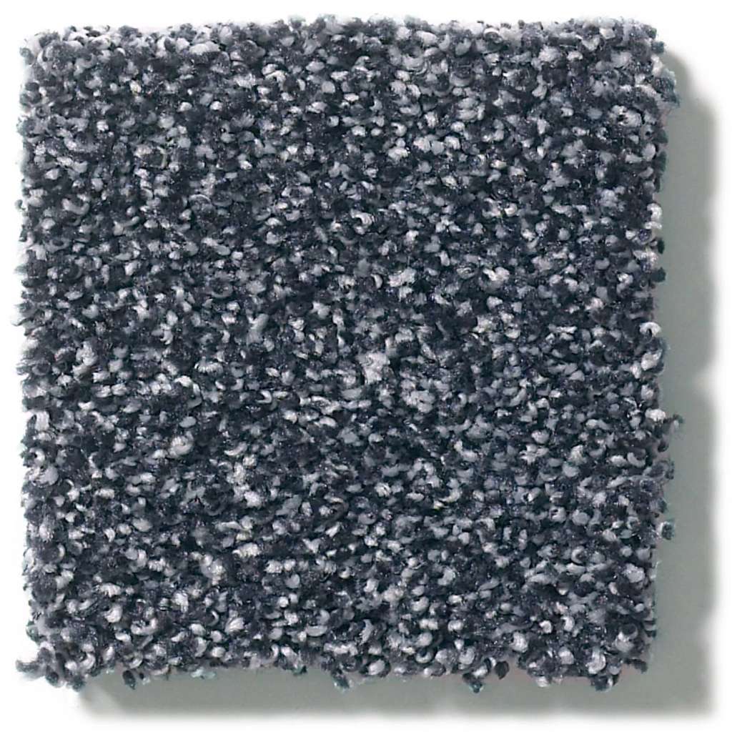 Shaw Foundations Always Ready I 00471 Royal Navy Textured Nylon Carpet ...