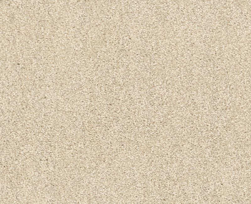 Shaw Anso Open II (S) 00100 Royal Silk Textured Nylon Carpet — Stone ...