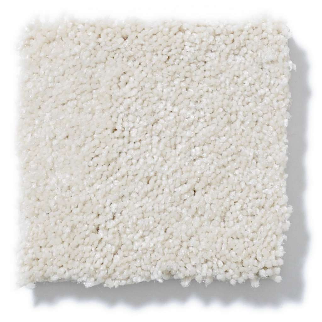 Shaw You Know It 00100 Royal Silk Textured Nylon Carpet | Lowest Price ...