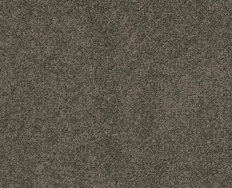 Shaw My Style 3 00752 Rustic Elegance Textured Nylon Carpet — Stone ...