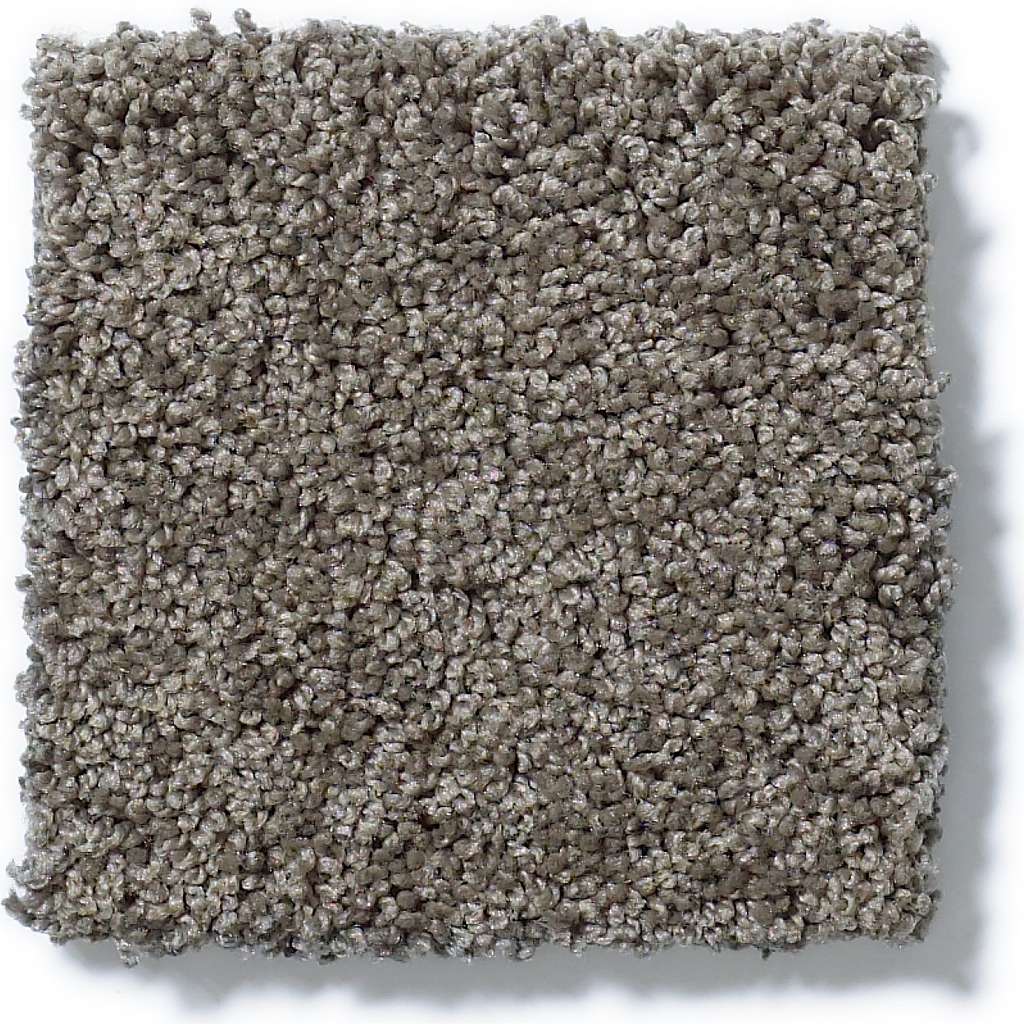 Shaw Soft Shades My Choice II 00752 Rustic Elegance Nylon Carpet ...