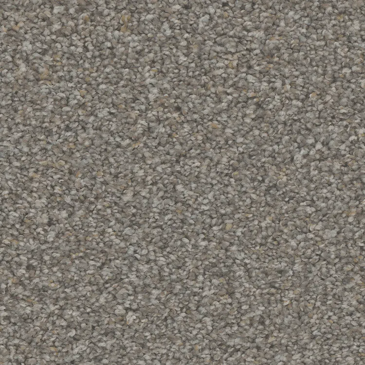 Phenix FloorEver PetPlus Rhodes 854 Rustic Textured Nylon Carpet — Stone & Tile Shoppe, Inc.