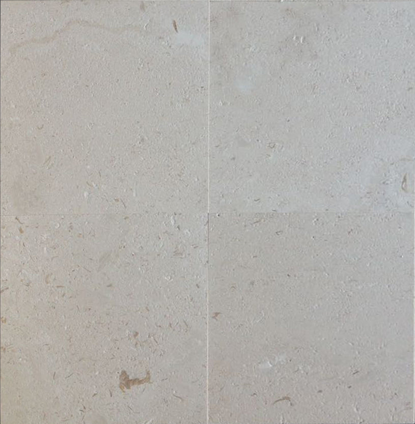 Shell Stone Brushed Shellstone Tile | Lowest Price — Stone & Tile ...