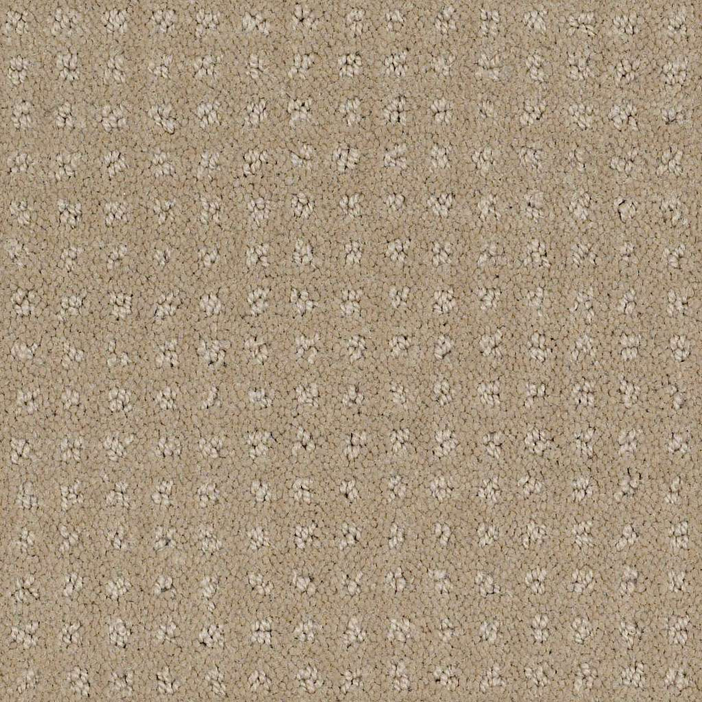 Shaw Foundations Alluring Disposition 00188 Safari Nylon Carpet — Stone ...