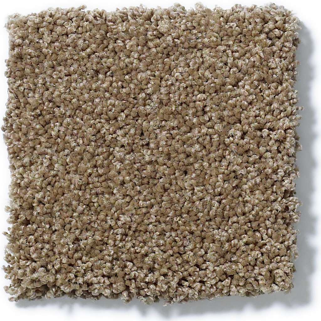 Shaw Soft Shades My Choice II 00757 Saffron Textured Nylon Carpet ...
